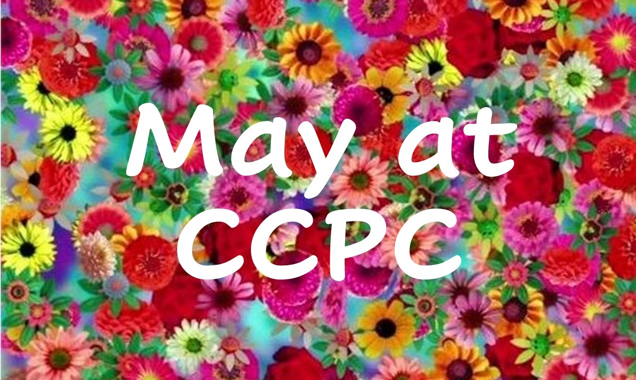 What's Happening at CCPC | Canyon Creek Presbyterian Church